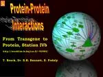 PPT - Protein PowerPoint Presentation, free download - ID:6696818