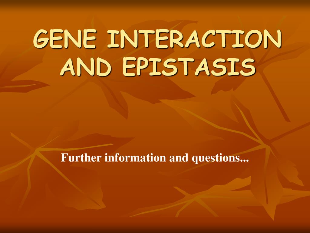 PPT - GENE INTERACTION AND EPISTASIS PowerPoint Presentation, free ...