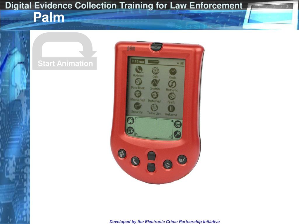 PPT - Palm PowerPoint Presentation, free download - ID:4737884