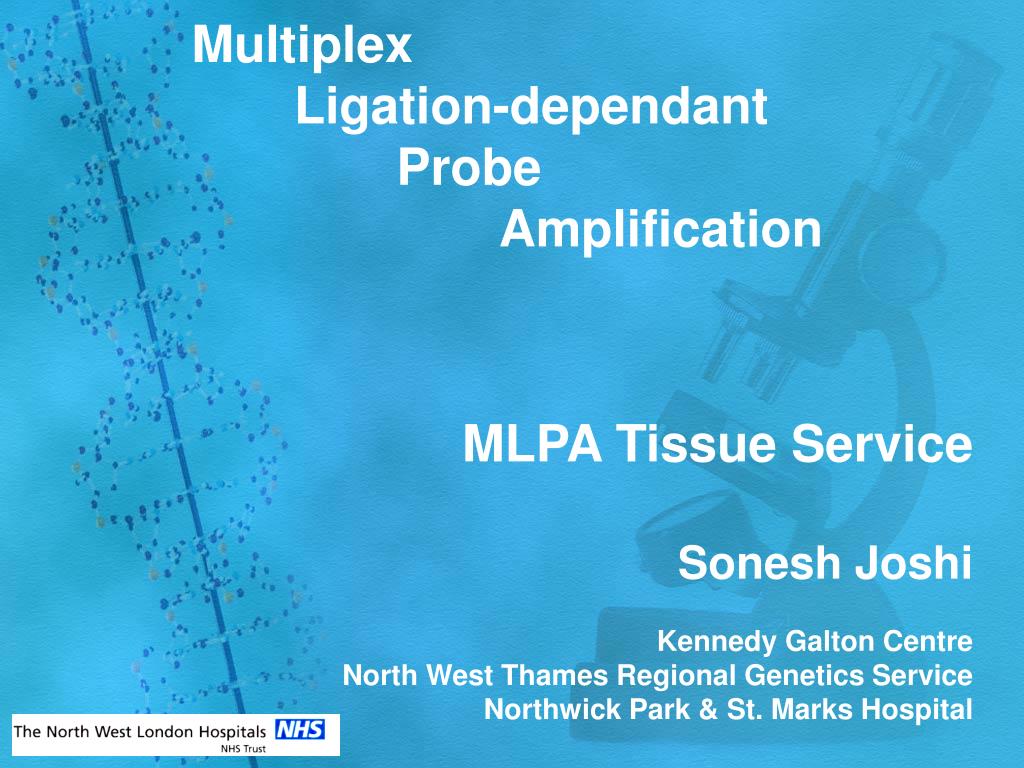 PPT - Multiplex Ligation-dependant Probe Amplification PowerPoint ...