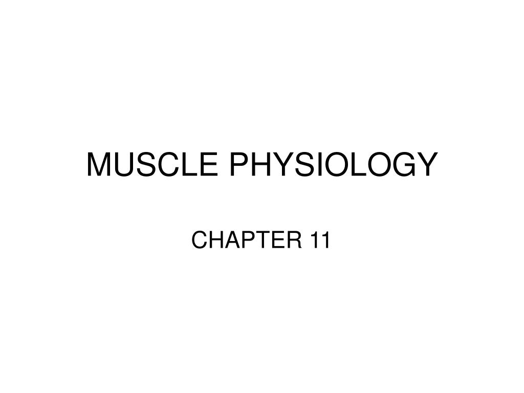 PPT - MUSCLE PHYSIOLOGY PowerPoint Presentation, free download - ID:4738939