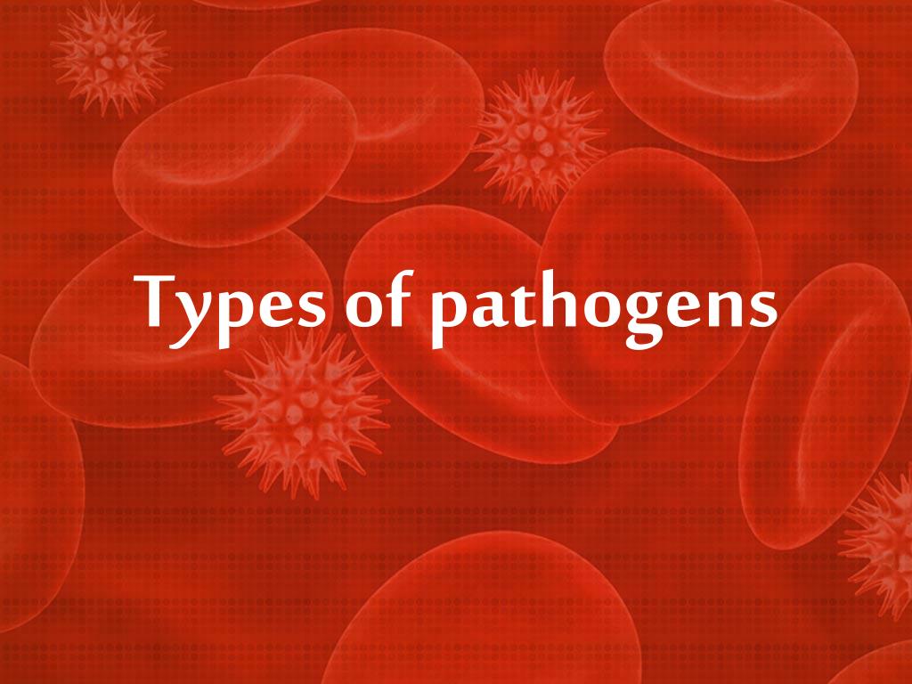 PPT - Types of pathogens PowerPoint Presentation, free download - ID ...