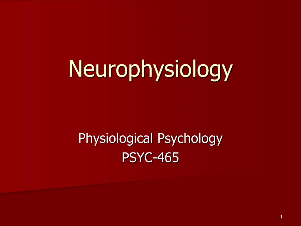 PPT - Neurophysiology PowerPoint Presentation, free download - ID:4747294