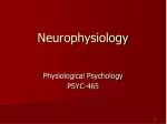 PPT - Neurophysiology PowerPoint Presentation, free download - ID:168209