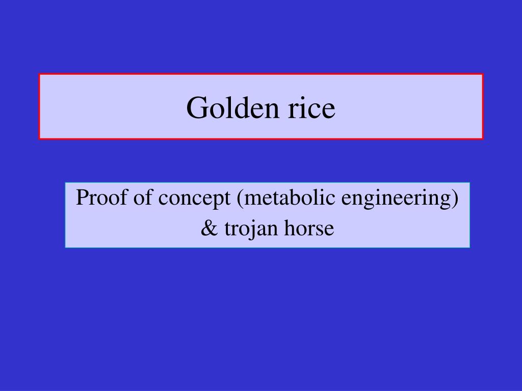 PPT - Golden rice PowerPoint Presentation, free download - ID:4748219