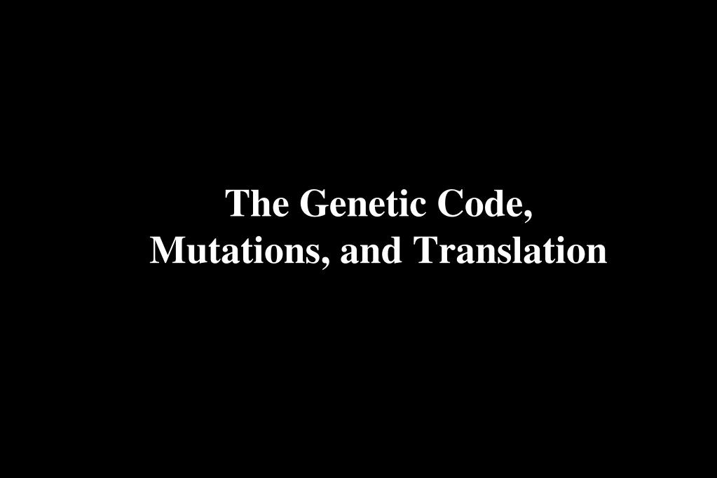 PPT - The Genetic Code, Mutations, and Translation PowerPoint ...