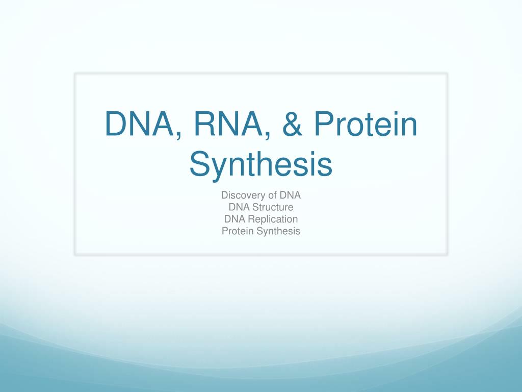 PPT - DNA, RNA, & Protein Synthesis PowerPoint Presentation, free ...