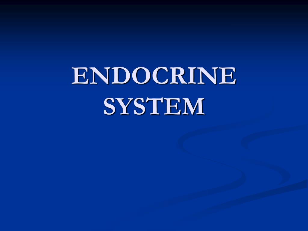 PPT - ENDOCRINE SYSTEM PowerPoint Presentation, free download - ID:4752894
