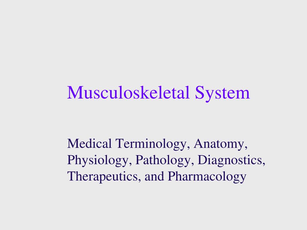 PPT - Musculoskeletal System PowerPoint Presentation, free download ...