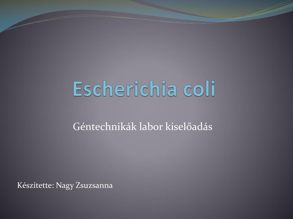 PPT - Escherichia coli PowerPoint Presentation, free download - ID:4757673