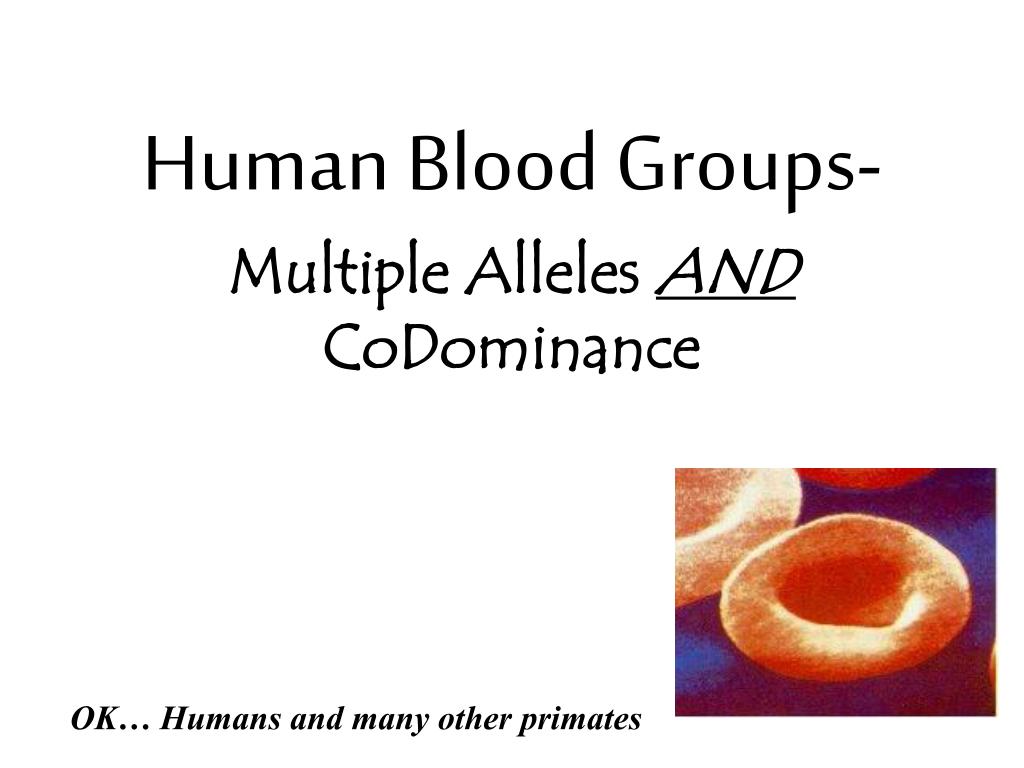 PPT - Human Blood Groups- Multiple Alleles AND CoDominance PowerPoint ...