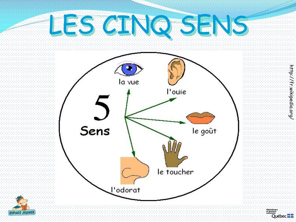 PPT - LES CINQ SENS PowerPoint Presentation, free download - ID:4767495