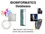 PPT - Databases in Bioinformatics PowerPoint Presentation, free ...