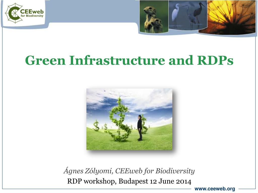 PPT - Green Infrastructure and RDPs PowerPoint Presentation, free ...