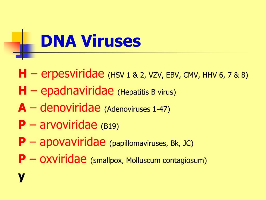 PPT - DNA Viruses PowerPoint Presentation, free download - ID:4768711