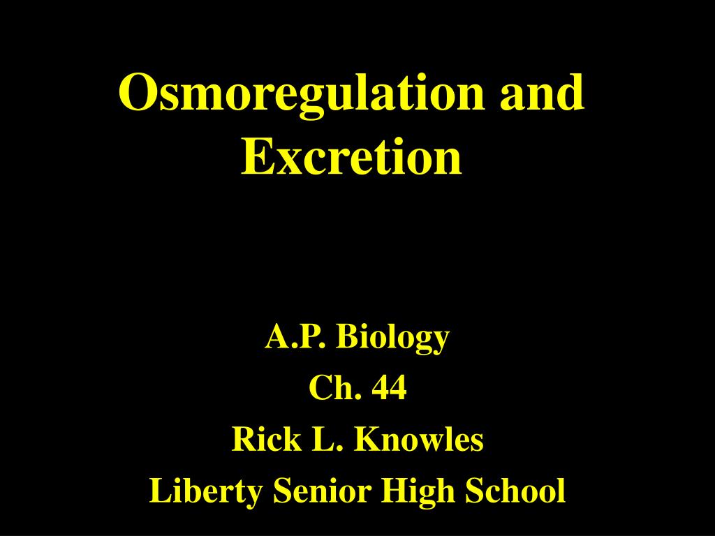 PPT - Osmoregulation and Excretion PowerPoint Presentation, free ...