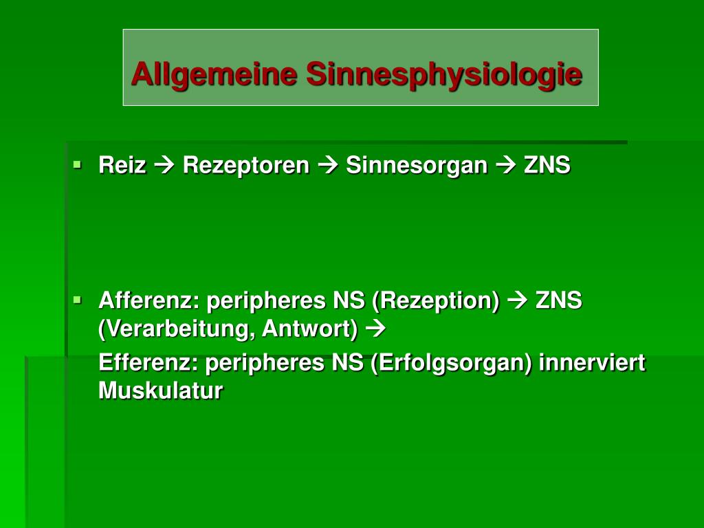 PPT - Allgemeine Sinnesphysiologie PowerPoint Presentation, free ...