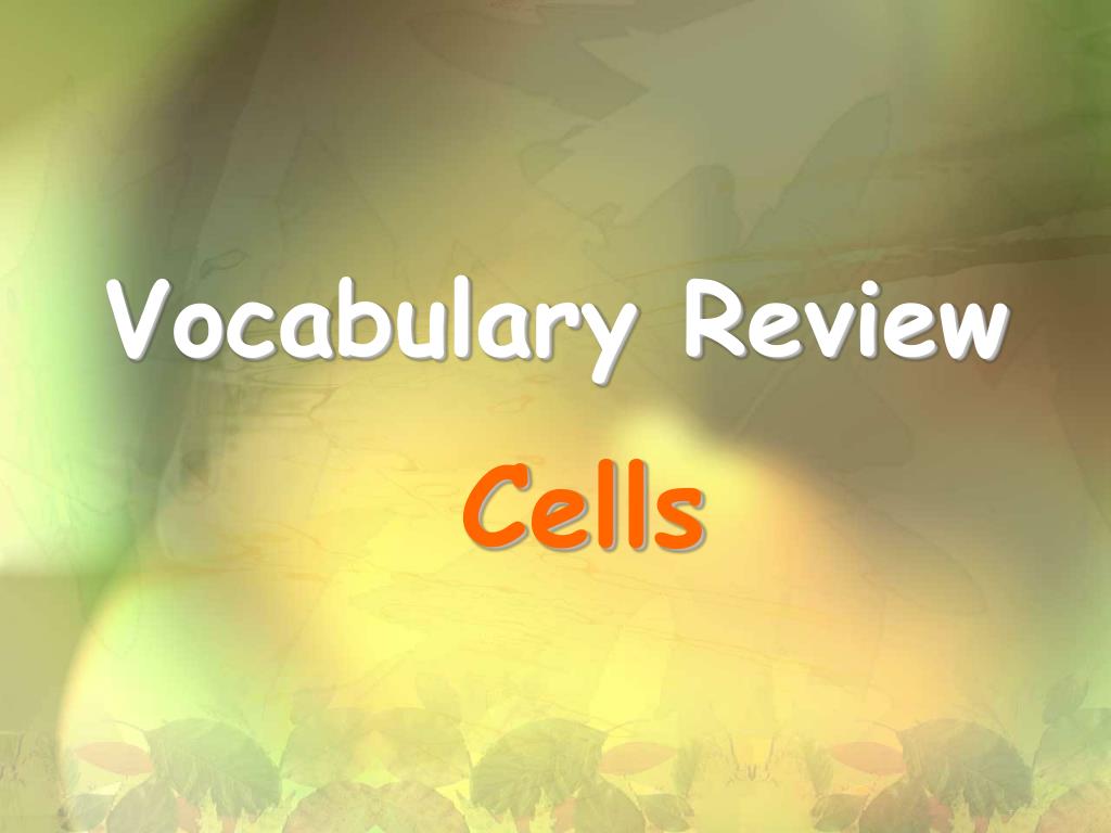 PPT - Vocabulary Review PowerPoint Presentation, free download - ID:4775579