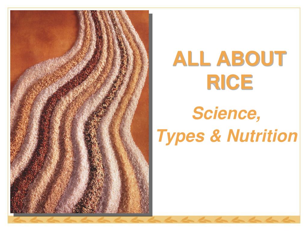 PPT - ALL ABOUT RICE PowerPoint Presentation, free download - ID:4780038