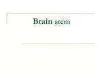PPT - Brain Stem PowerPoint Presentation, free download - ID:3773717