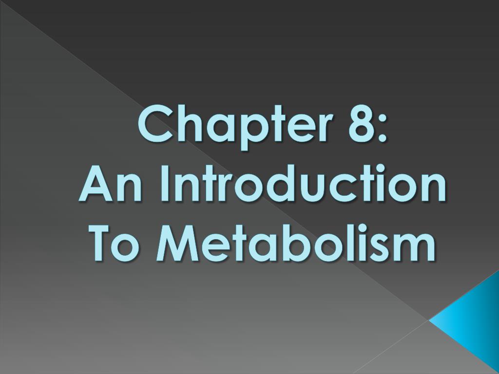 PPT - Chapter 8: An Introduction To Metabolism PowerPoint Presentation ...