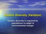 PPT - Genetic Diversity PowerPoint Presentation, free download - ID:611552