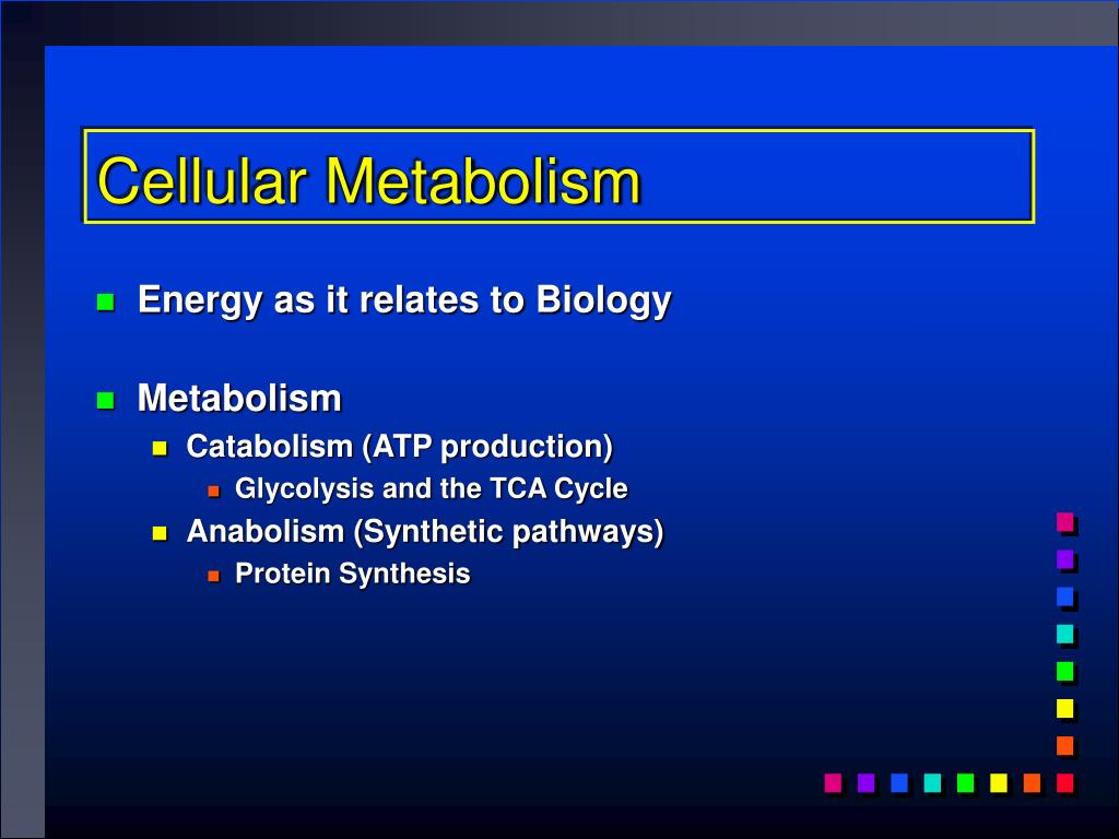 PPT - Cellular Metabolism PowerPoint Presentation, free download - ID ...