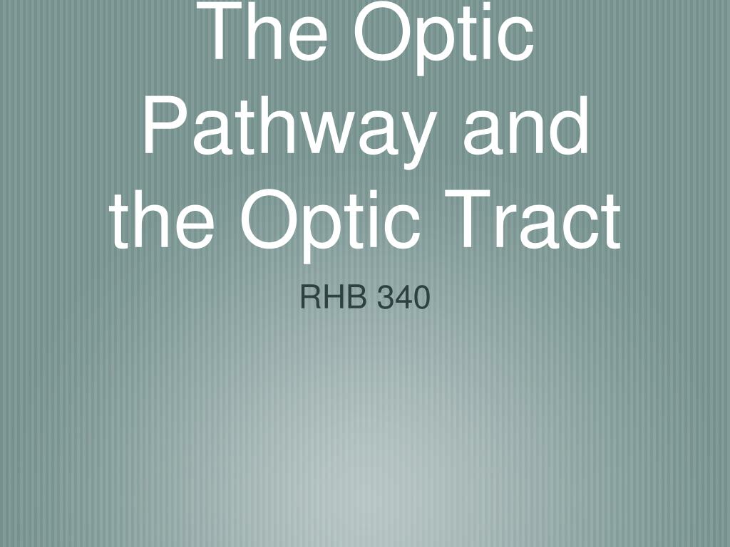PPT - The Optic Pathway and the Optic Tract PowerPoint Presentation ...