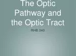 PPT - Optic nerve and visual pathway PowerPoint Presentation, free ...