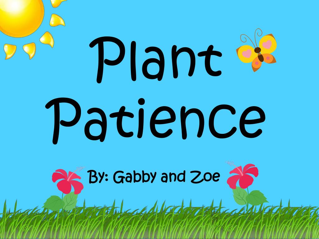 PPT - Plant Patience PowerPoint Presentation, free download - ID:4785971