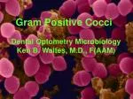 PPT - Gram-Positive Cocci PowerPoint Presentation, free download - ID ...