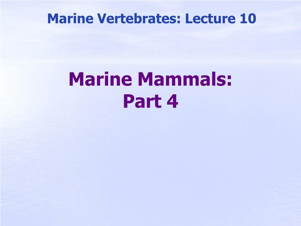 PPT - Marine Mammals: Part 4 PowerPoint Presentation, free download ...