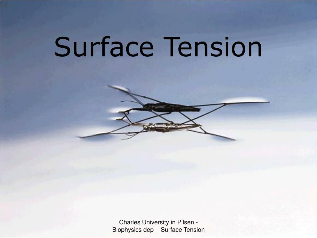 PPT - Surface Tension PowerPoint Presentation, free download - ID:4795871