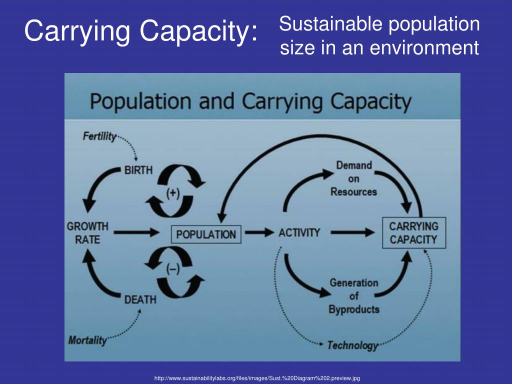 PPT - Carrying Capacity: PowerPoint Presentation, free download - ID ...