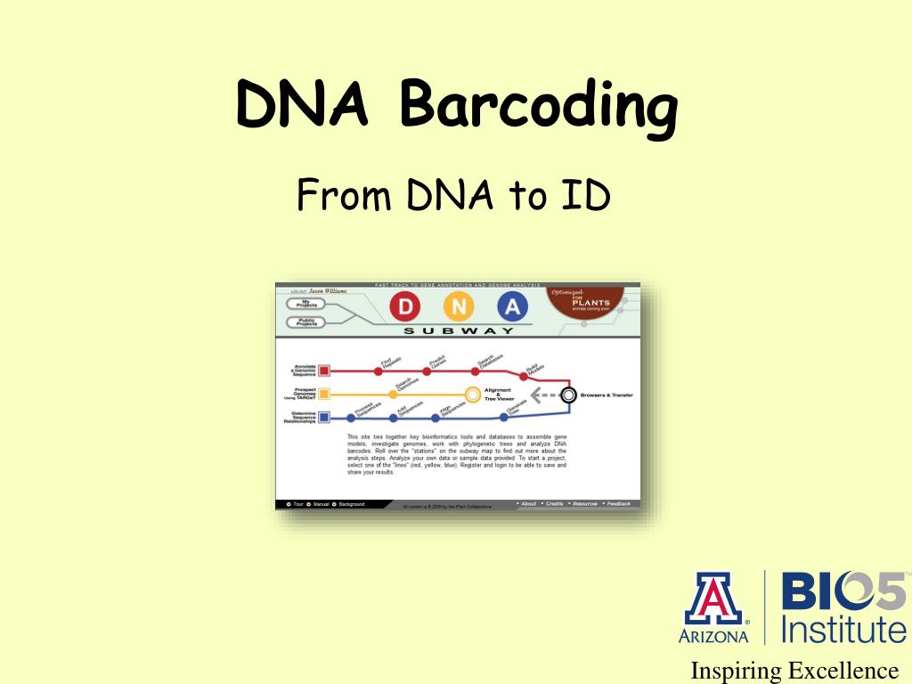 PPT - DNA Barcoding PowerPoint Presentation, free download - ID:4797975