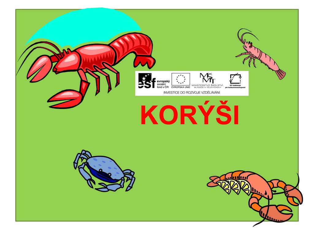 PPT - KORÝŠI PowerPoint Presentation, free download - ID:4798421
