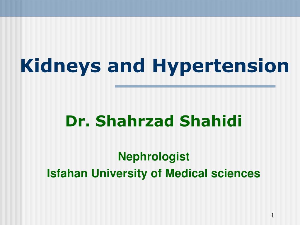 PPT - Kidneys and Hypertension PowerPoint Presentation, free download ...