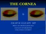 PPT - cornea PowerPoint Presentation, free download - ID:2075264