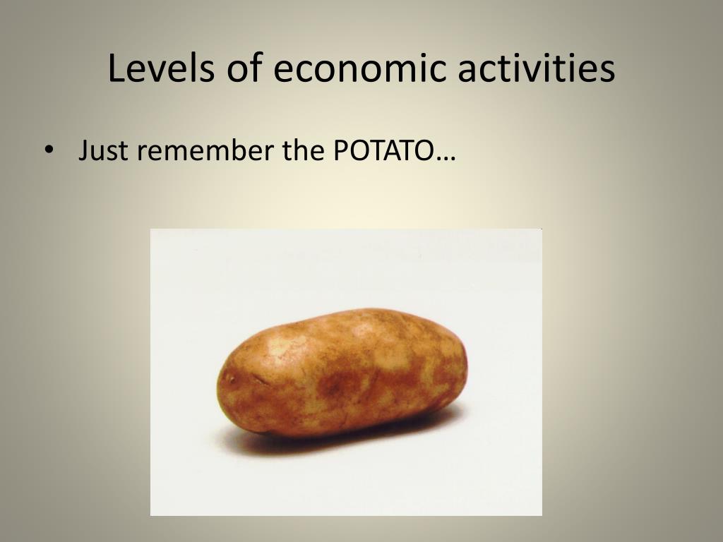 PPT - Levels of economic activities PowerPoint Presentation, free ...