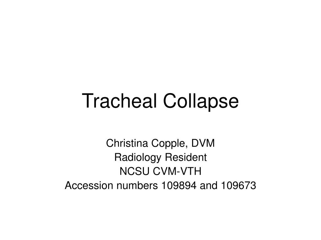 PPT - Tracheal Collapse PowerPoint Presentation, free download - ID:4802543
