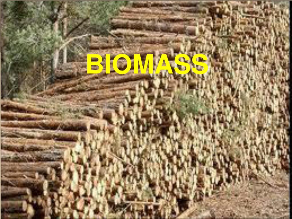 PPT - BIOMASS PowerPoint Presentation, free download - ID:4804107