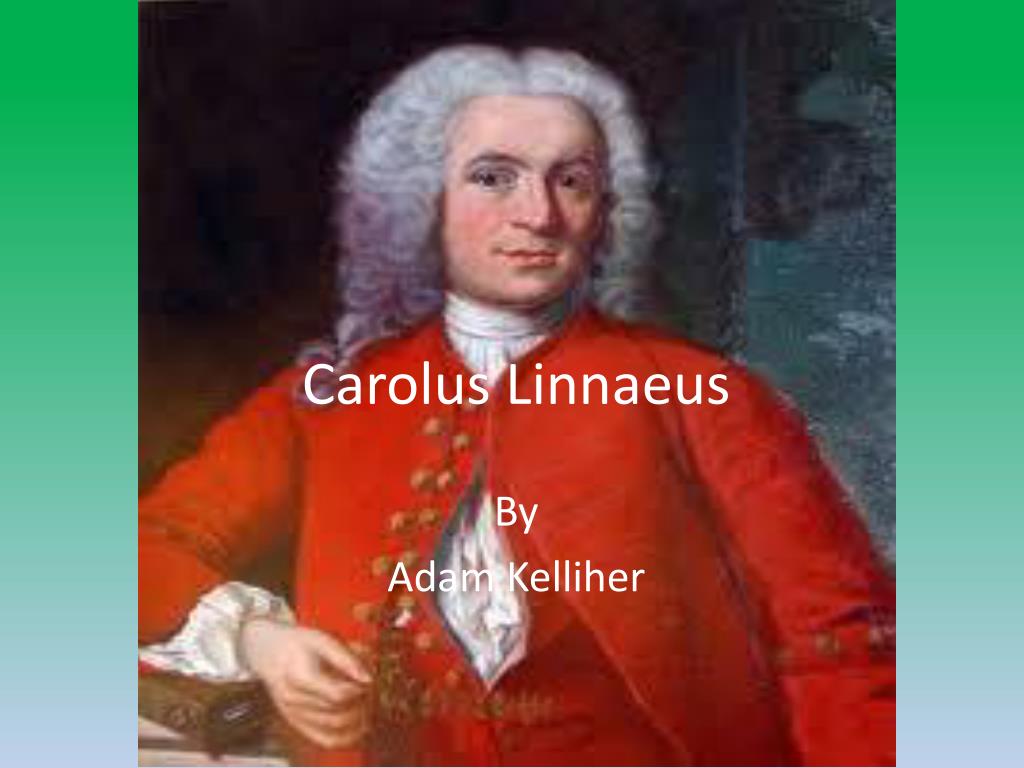 PPT - Carolus Linnaeus PowerPoint Presentation, free download - ID:4806025