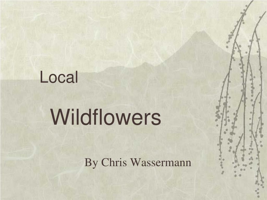 PPT - Wildflowers PowerPoint Presentation, free download - ID:4806815