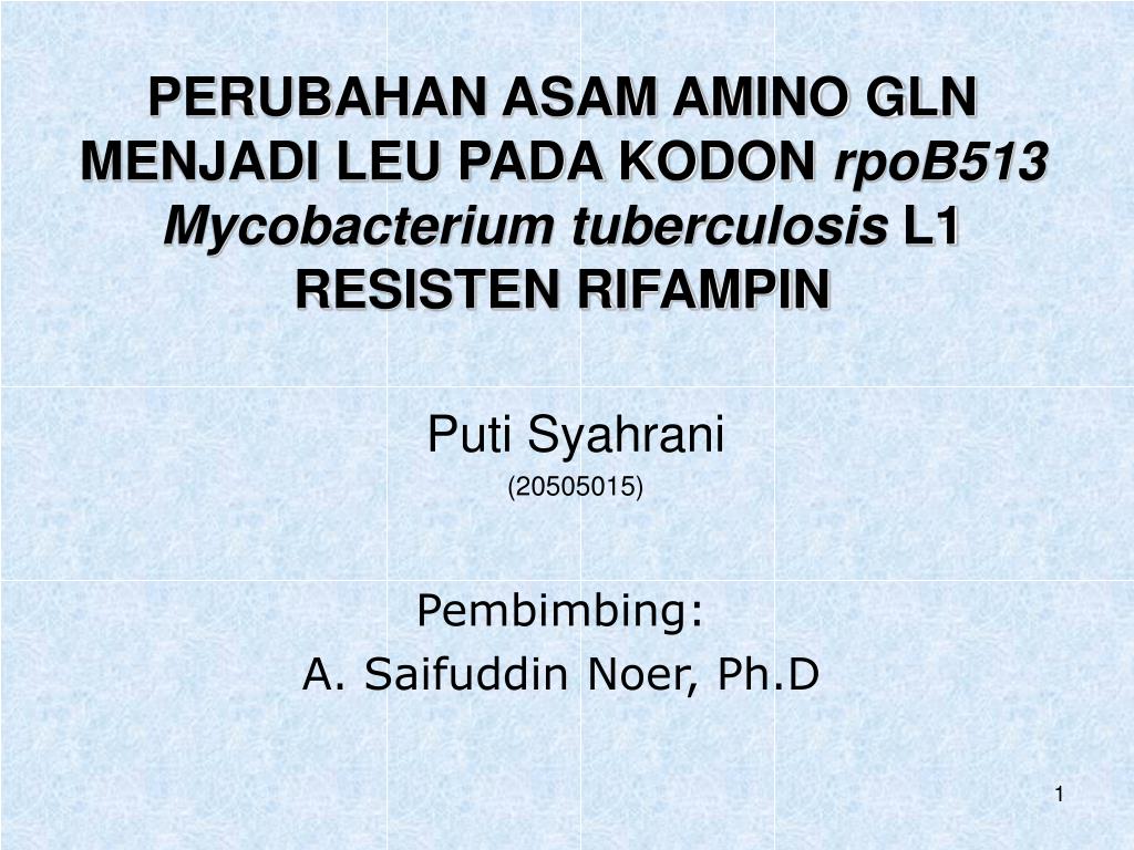 PPT - Puti Syahrani (20505015) PowerPoint Presentation, free download ...