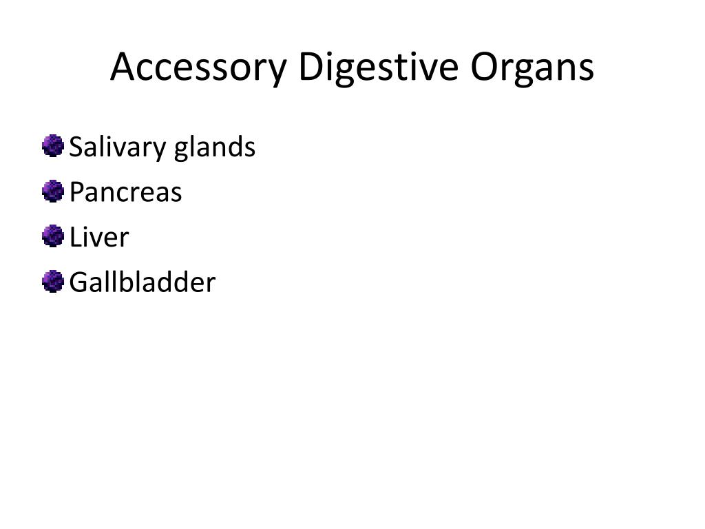 PPT - Accessory Digestive Organs PowerPoint Presentation, free download ...