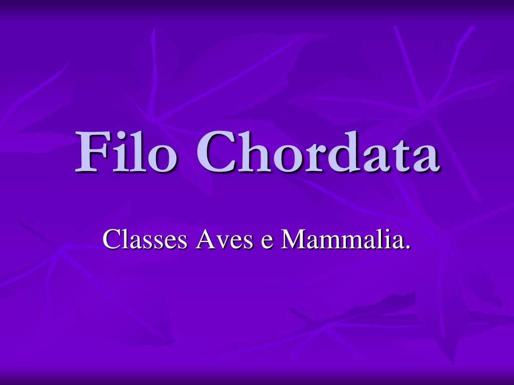 PPT - Filo Chordata PowerPoint Presentation, free download - ID:4810939