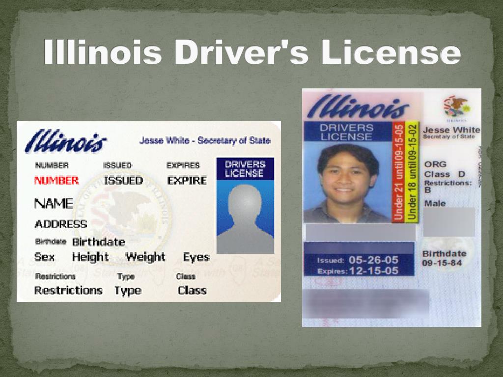 PPT - Illinois Driver's License PowerPoint Presentation, free download ...