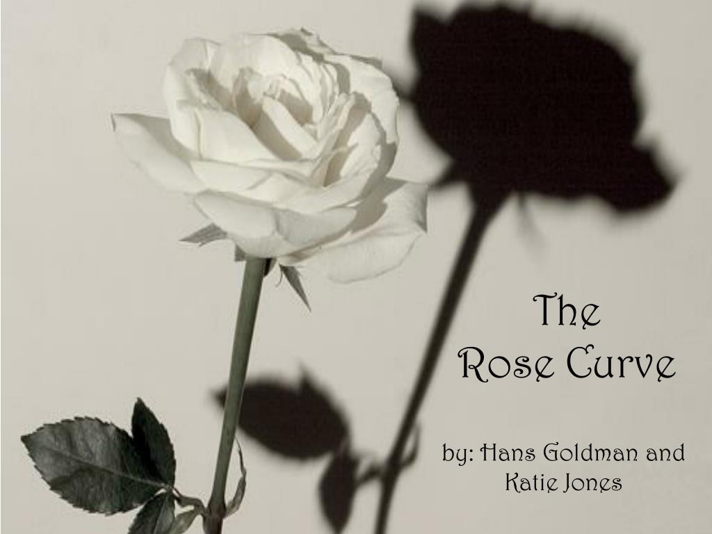 PPT - The Rose Curve PowerPoint Presentation, free download - ID:4813883