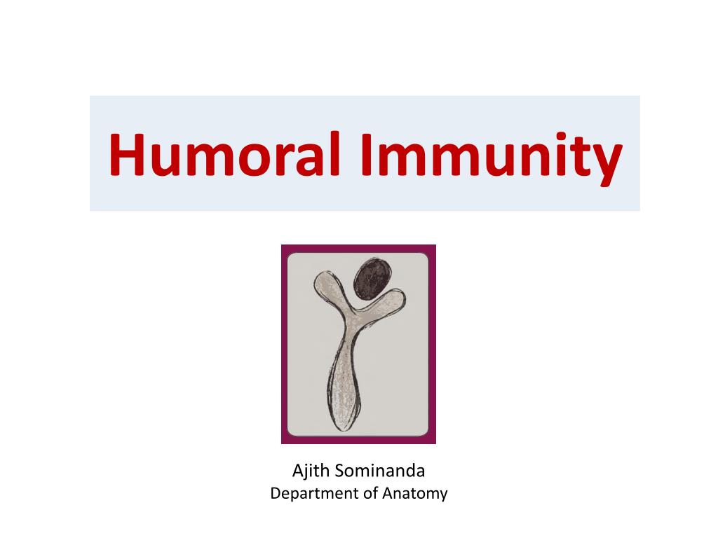 PPT - Humoral Immunity PowerPoint Presentation, free download - ID:4815457