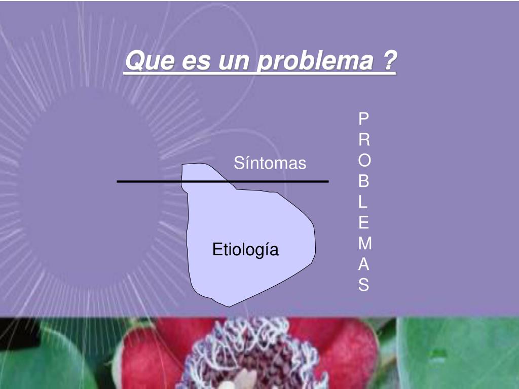 PPT - Que es un problema ? PowerPoint Presentation, free download - ID ...